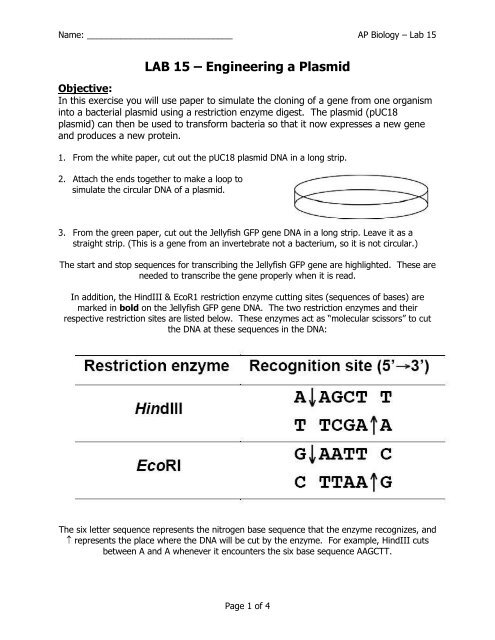 AP Lab 15
