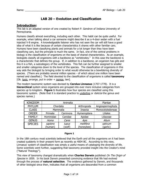 AP Lab 20 - Evolution and Phylogenetics