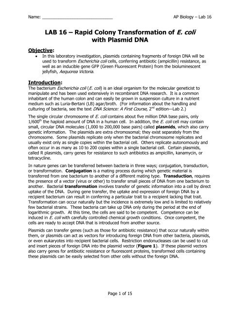 AP Lab 16 - Bacterial Transformation