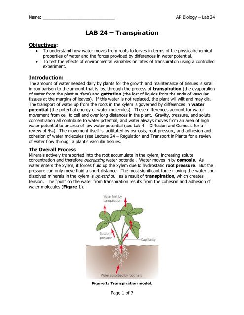 Transpiration Experiment Procedure