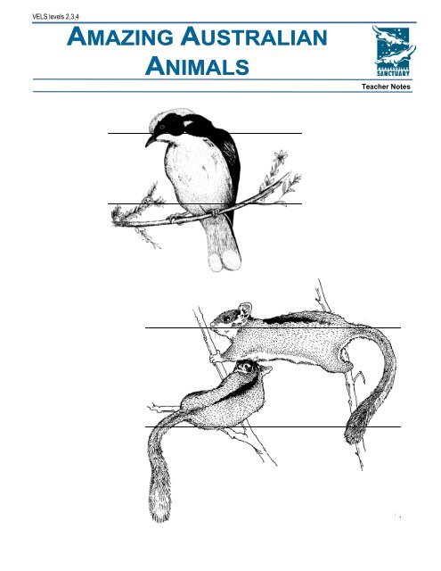 Amazing Australia Animals Teacher Notes - Zoos Victoria