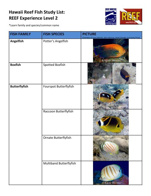 Hawaii Reef Fish Study List - Reef Watch WaikÄ«kÄ«