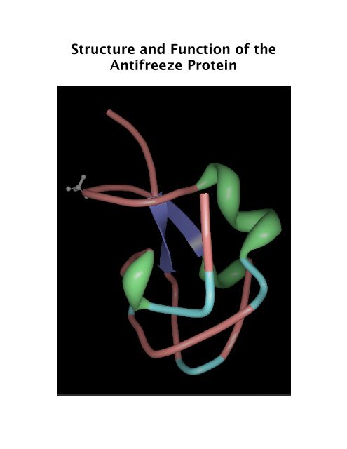 Structure and Function of the Antifreeze Protein