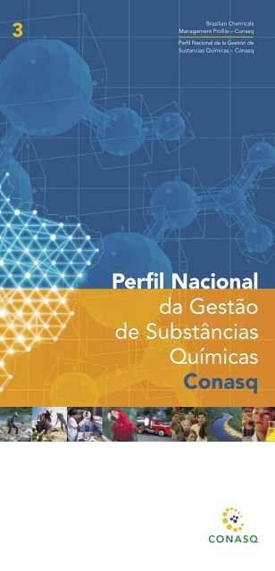 Perfil Nacional da Gestão de Substâncias Químicas CONASQ.pdf