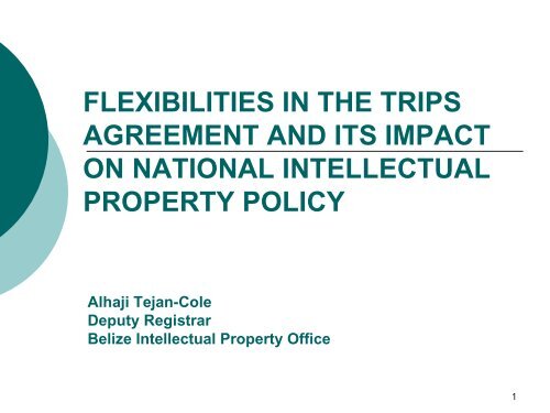 flexibilities in the trips agreement and its impact on national ...