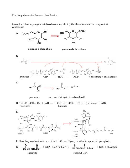 Enzyme class practice problems