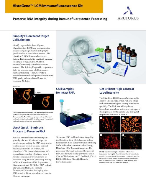 HistoGeneTM LCM Immunofluorescence Kit - AlphaMetrix Biotech