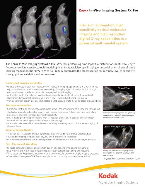 In-Vivo Imaging System FX Pro