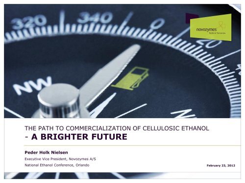 Download the pdf - Novozymes