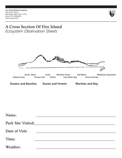 Fire Island Ecosystems Assignment - Mr Hatten's Village School ...