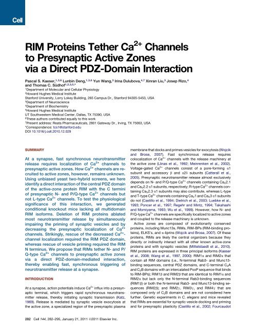 RIM Proteins Tether Ca2+ Channels to Presynaptic ... - Kaeser Lab