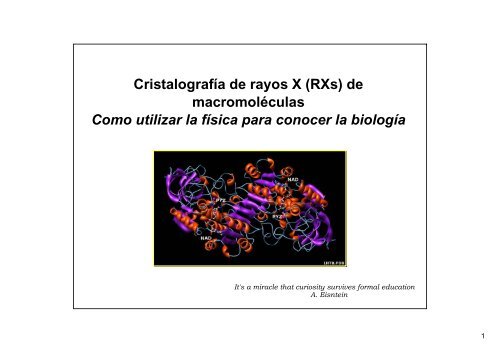 Cristalografía de rayos X (RXs) de macromoléculas Como utilizar la ...