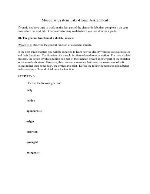 Muscular System Take-Home Assignment
