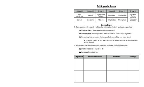 Cell Organelle Jigsaw - Century Life Science