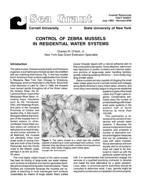 Control of Zebra Mussels in Residential Water Systems