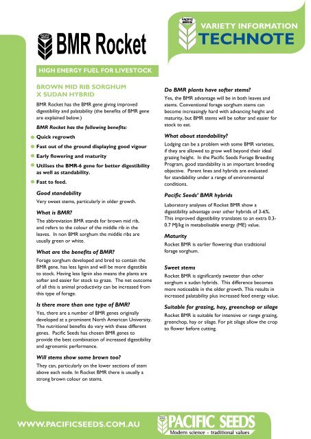 Pacific Seeds BMR Rocket High Energy Fuel (290 Kb) - Fatcow