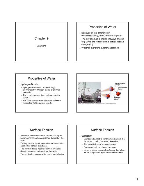 Chapter 9 Properties of Water Properties of Water Surface Tension ...