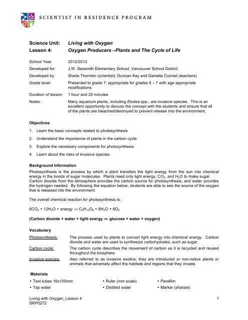 Lesson 4 â Oxygen Producers â Plants and The Cycle of Life