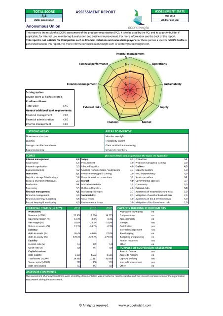 anonymous-assessment-report-example-scopeinsight
