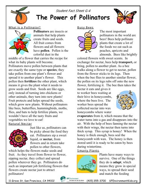 G-4 The Power of Pollinators FACT SHEET ... - SF Environment