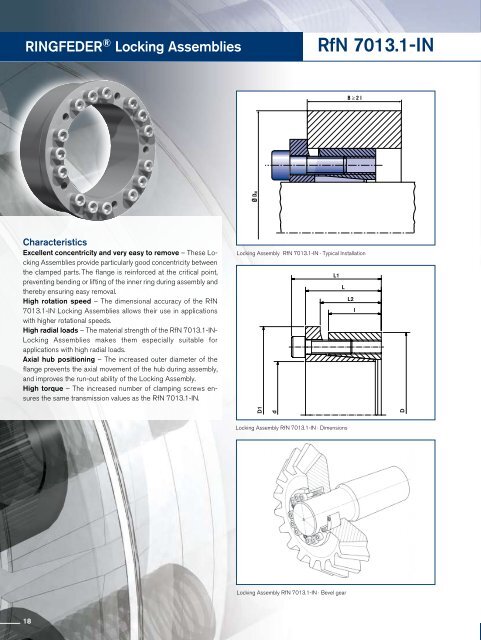 RfN 7013.1-IN - Ringfeder