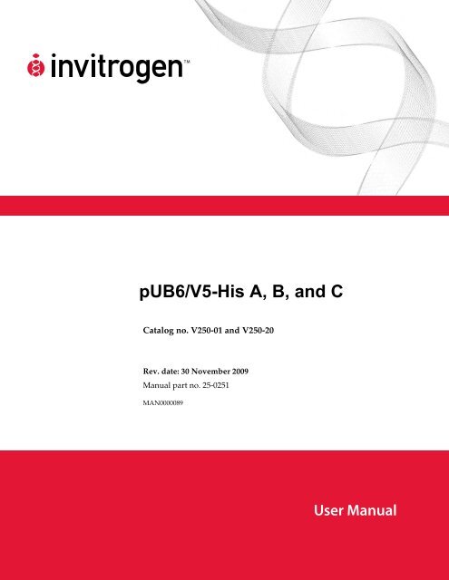 pUB6/V5-His