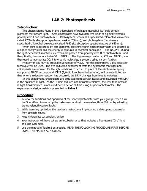LAB 7: Photosynthesis