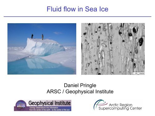 Measuring the Thermal Conductivity of Sea Ice S.T. ... - Sea Ice Group