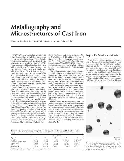 Metallography and Microstructures of Cast Iron