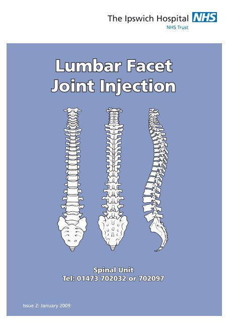 Lumbar Facet Joint Injection - Ipswich Hospital
