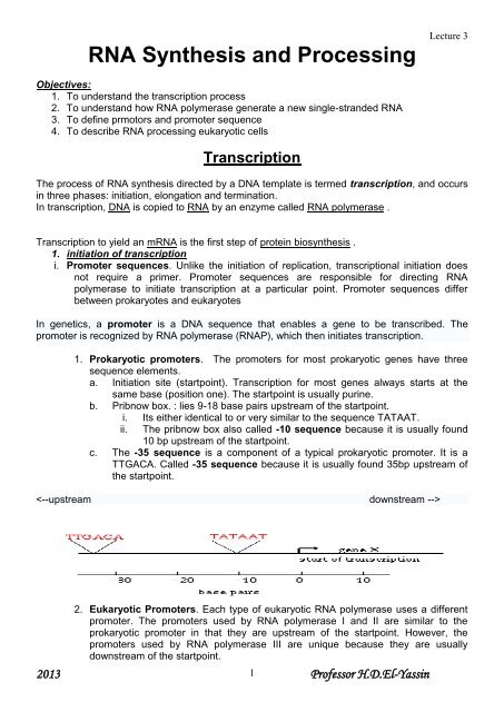 RNA Synthesis and Processing