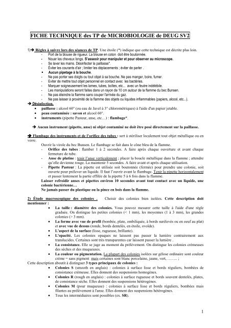 Fiche technique TP L2