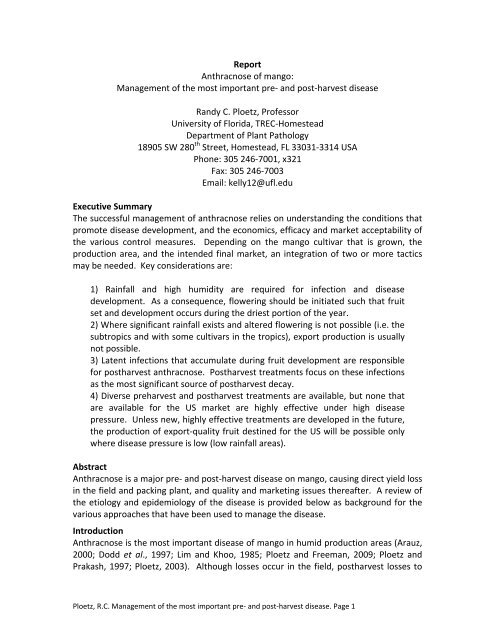 Report Anthracnose of mango: Management of the most important ...