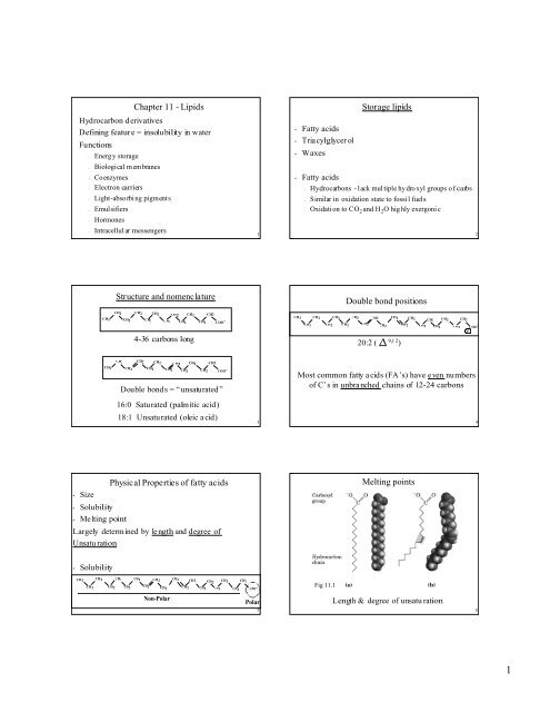 Chapter 11 - Lipids Storage lipids Structure and nomenclature ...