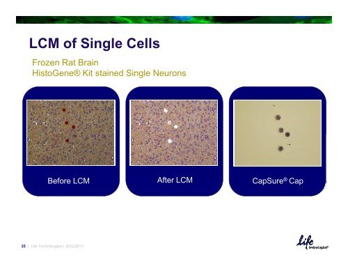 Arcturus LCM Instruments