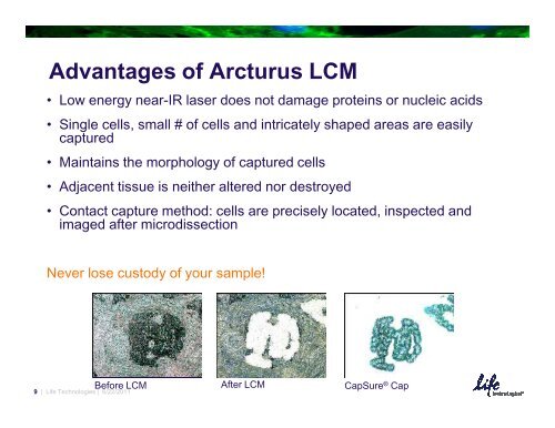Arcturus XT LCM Instrumen