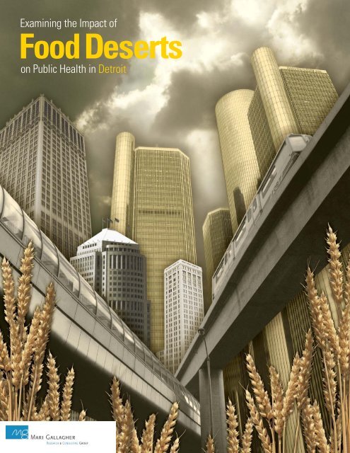 Examining the Impact of Food Deserts on Public Health in Detroit