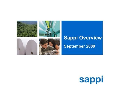 Sappi Overview
