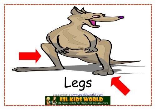 Animal Body Parts Flashcards - ESL Kids World