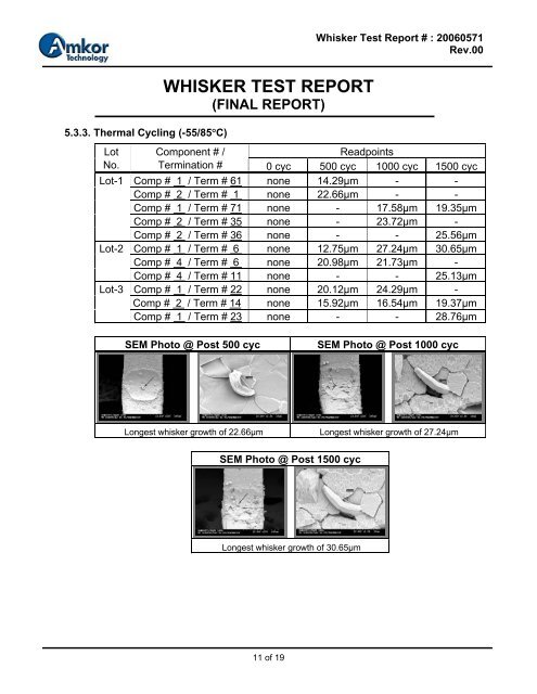 Whisker Test Report # : 2