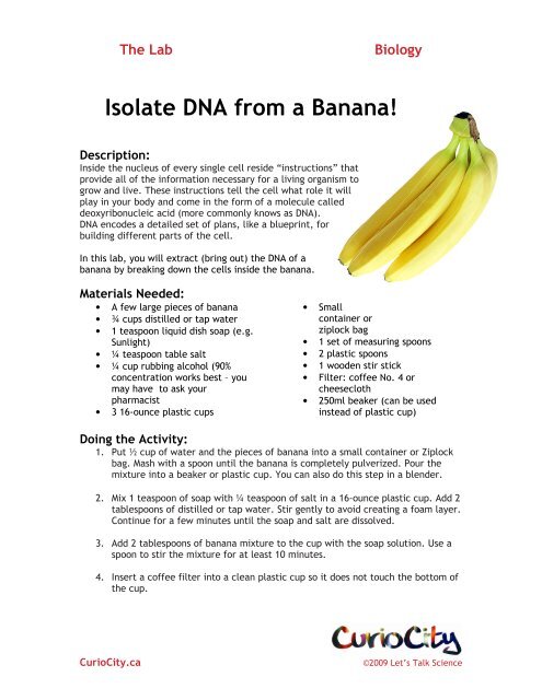 Isolate DNA from a Banana!