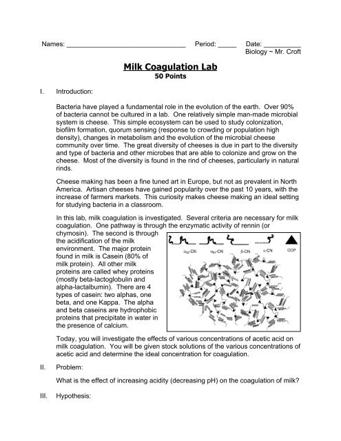Milk Coagulation Lab - Mr. Croft's