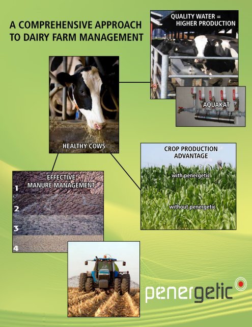 a comprehensive approach to dairy farm management - weber ...