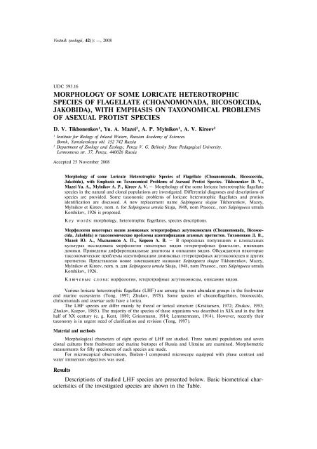 morphology of some loricate heterotrophic species of flagellate