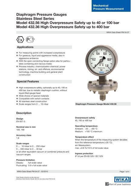 Diaphragm Pressure Gauges Stainless Steel ... - BKW Instruments