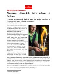 Chevron's Derek Magness speaks about Europe's natural gas ...