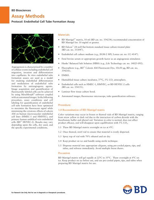 BD Biosciences Assay Methods Protocol: Endothelial Cell Tube ...