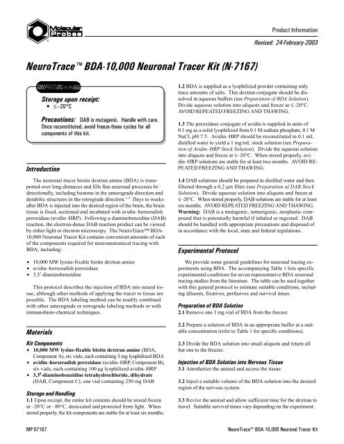 NeuroTrace BDA-10,000 Neuronal Tracer Kit - Molecular Probes