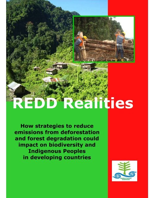 REDD Realities - The REDD Desk