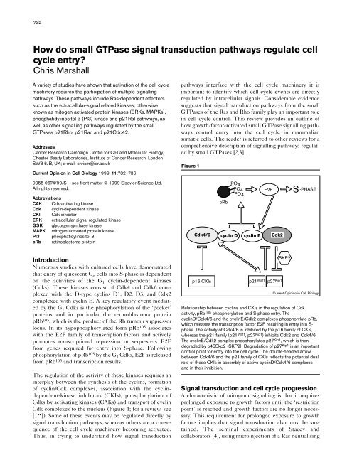 How do small GTPase signal transduction pathways regulate cell ...